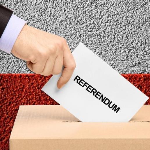 Referendum:considerazioni conclusive • DomenicoGallo.it